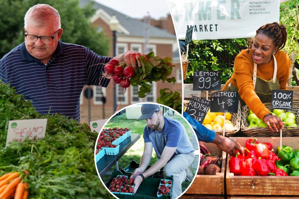 How to avoid food poisoning when shopping at farmers' markets - The ...
